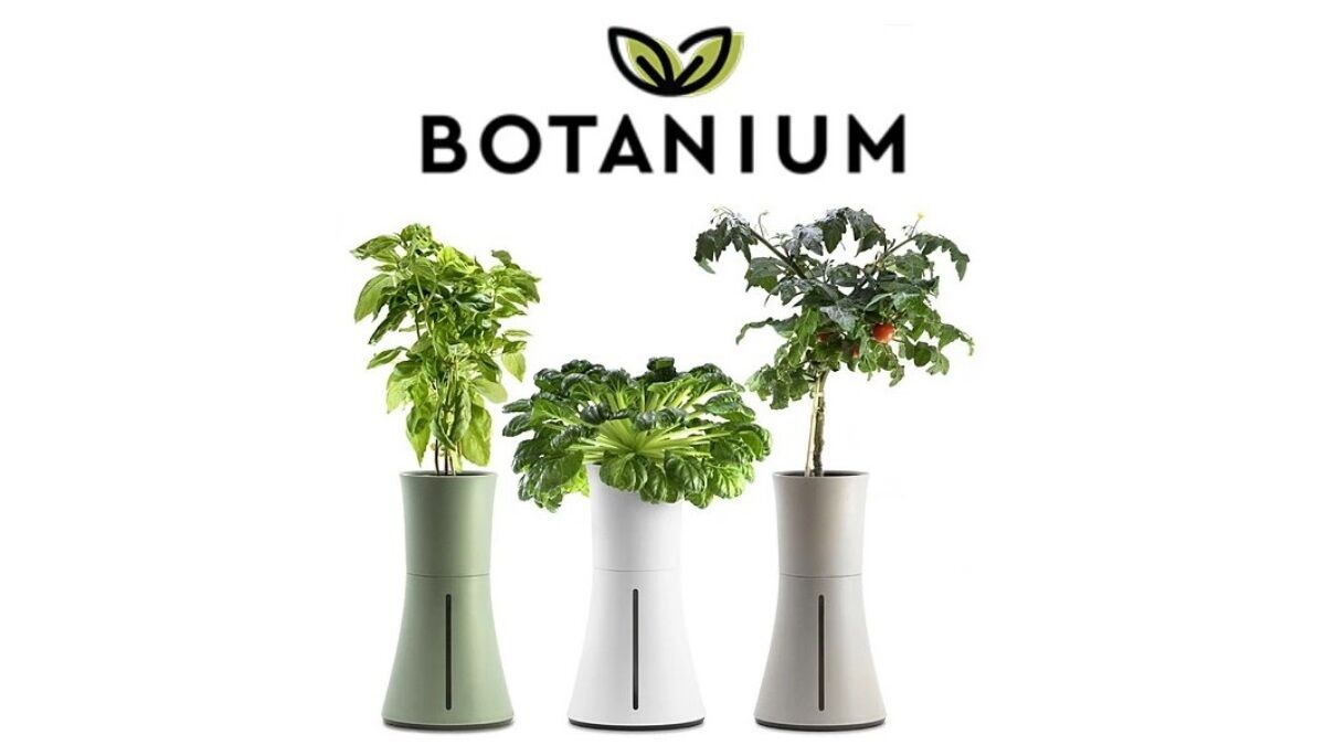 自動で給水してくれるスマートな水耕栽培プランター「Botanium（ボタニアム）」 | ドラブロ – let bygones be bygones